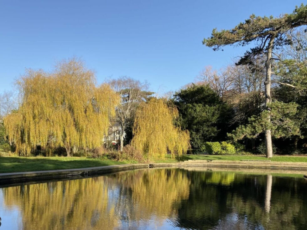 Tree Walks in Alexandra Park, Hastings - Park Farm Self Catering Cottages